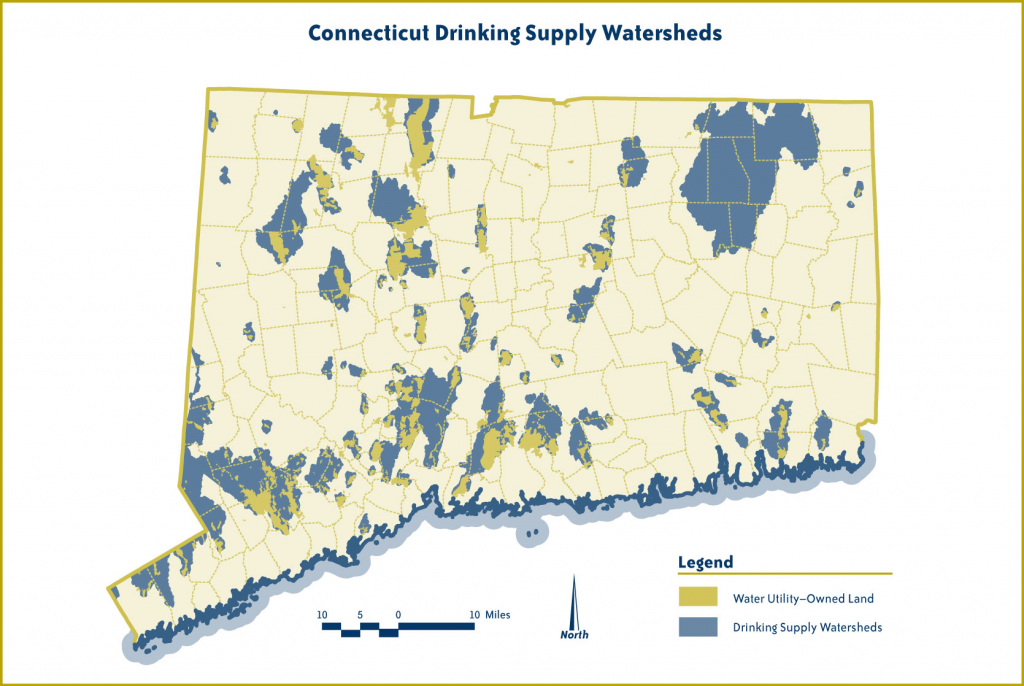 A Time to Be Grateful: Conserving Lands Together - Save the Sound