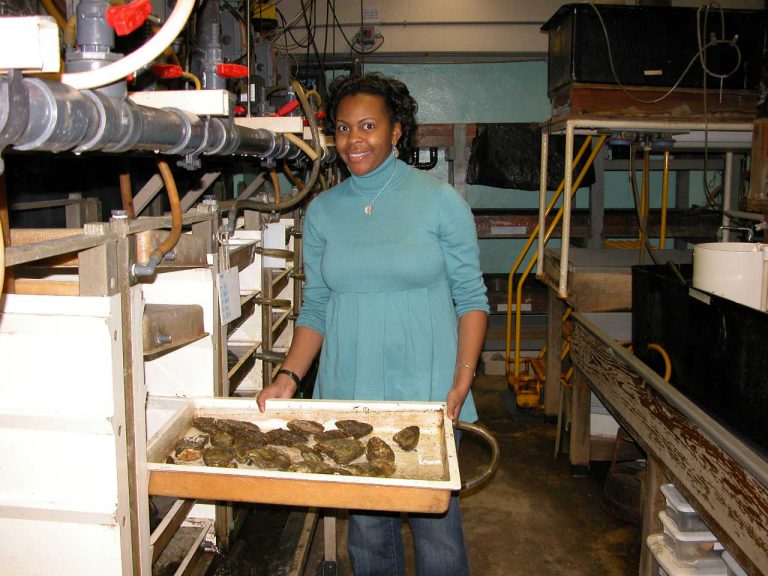Exploring Oysters' Immune System: Dr. April Croxton - Save the Sound