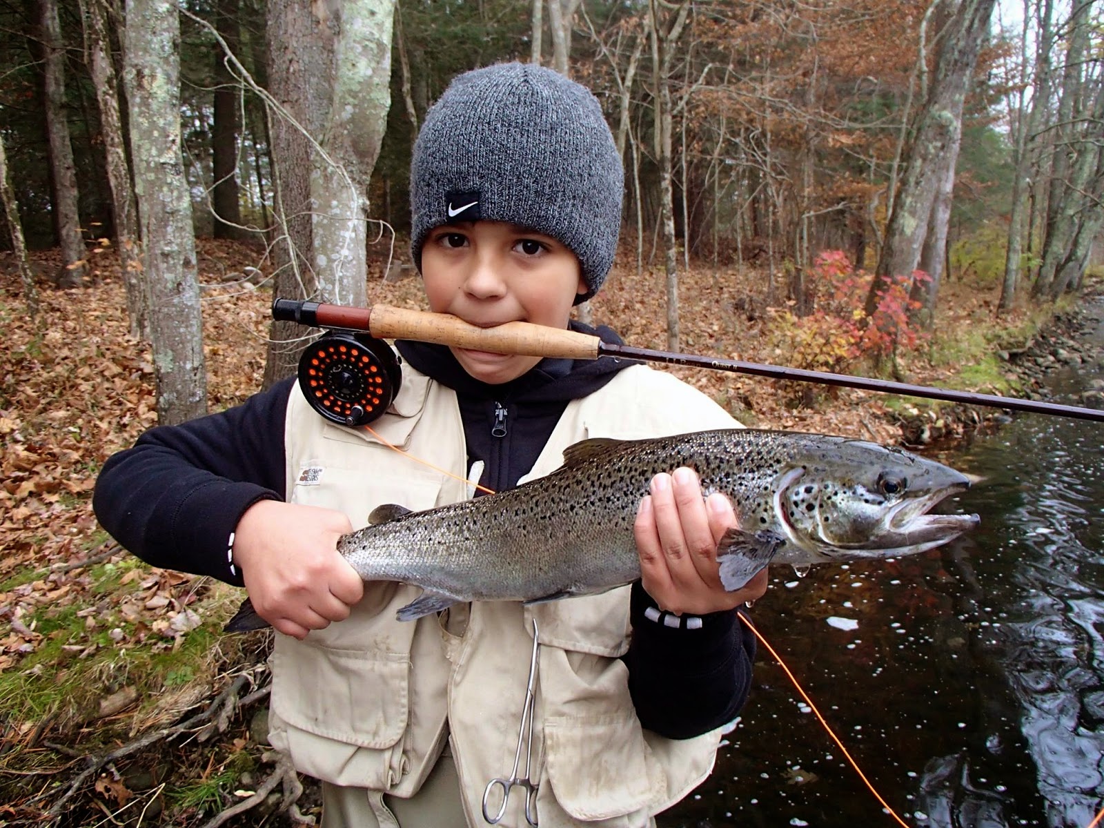 A Local Angler's Call to Action: Save the Kensington Fish Hatchery ...