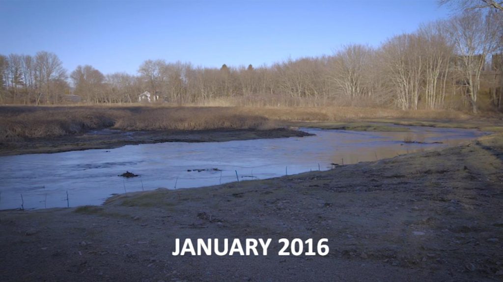How Can a River be Transformed in Just 3 Minutes? - Save the Sound