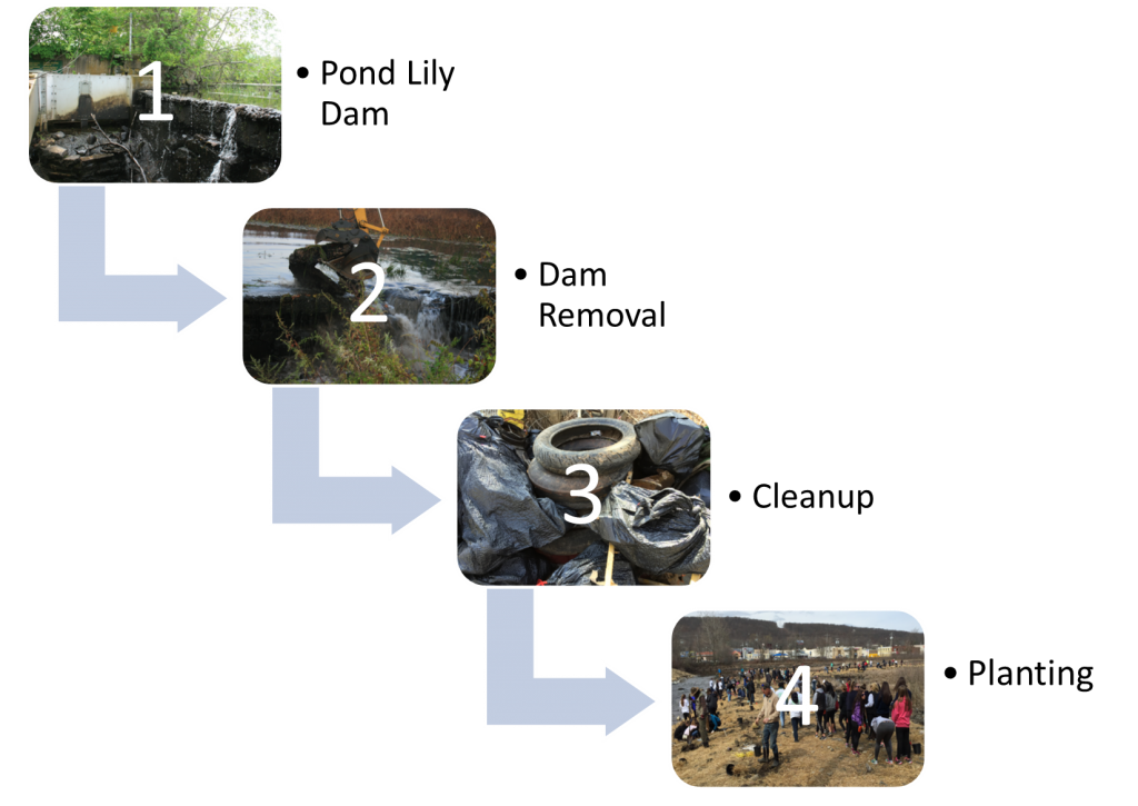 Dam Removal and Fish Passage - Save the Sound