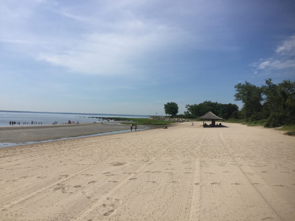 7 Awesome Long Island Sound Public Beaches for Water Quality - Save the ...