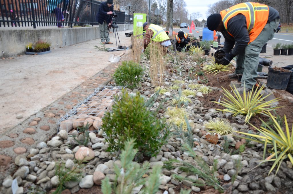 Green Infrastructure in New Haven: Bioswales and the West River - Save ...