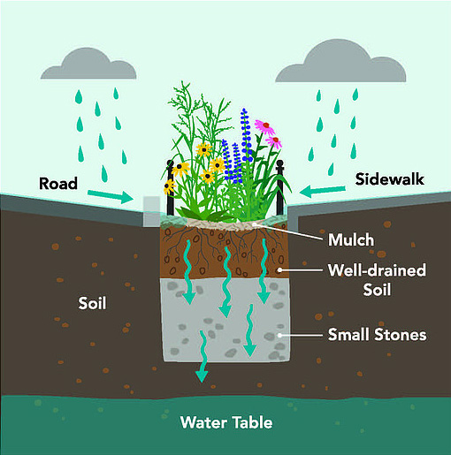 bioswale_infographic-no-border - Save the Sound