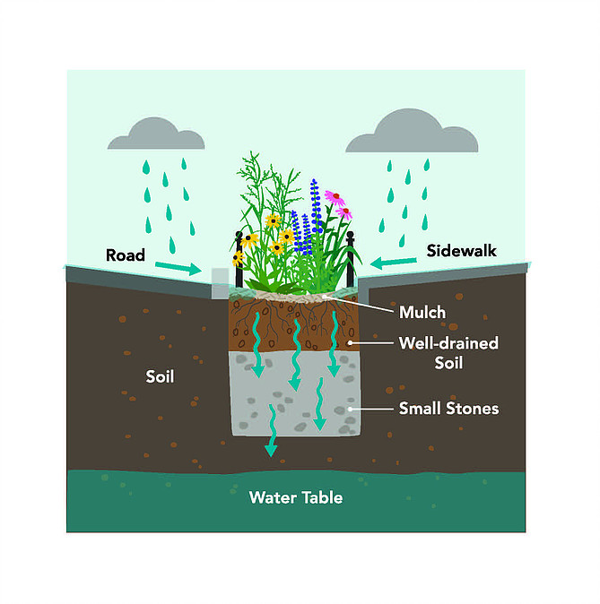 bioswale_infographic - Save the Sound