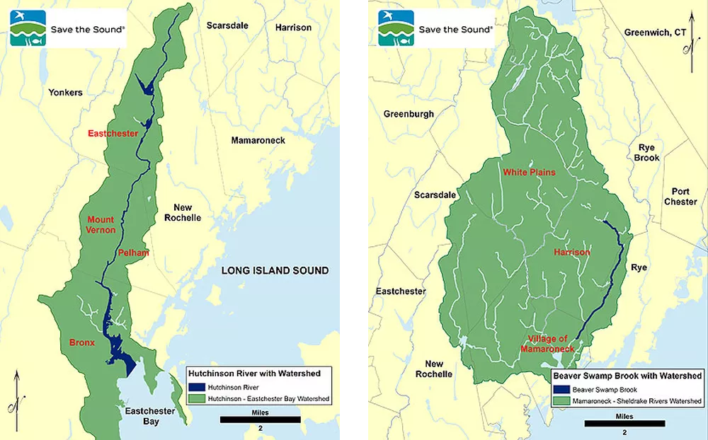 Hutchison River & Beaver Swamp Brook Watersheds - Save the Sound