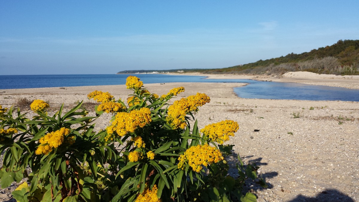 40 Favorite Places Around Connecticut and Long Island Sound - Save the ...