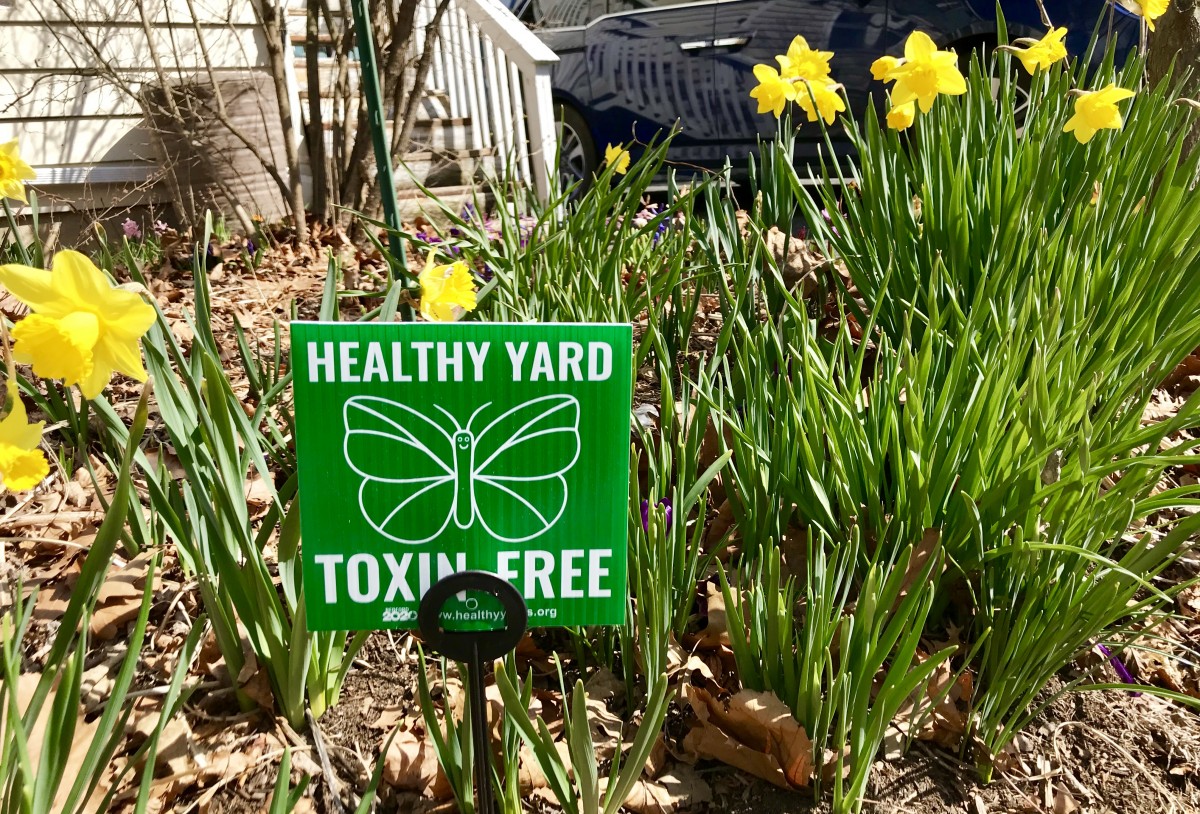 Your Lawn’s Big Impact On Long Island Sound - Save the Sound