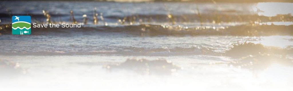 STS SUMMER 2019 APPEAL HEADER - Save the Sound