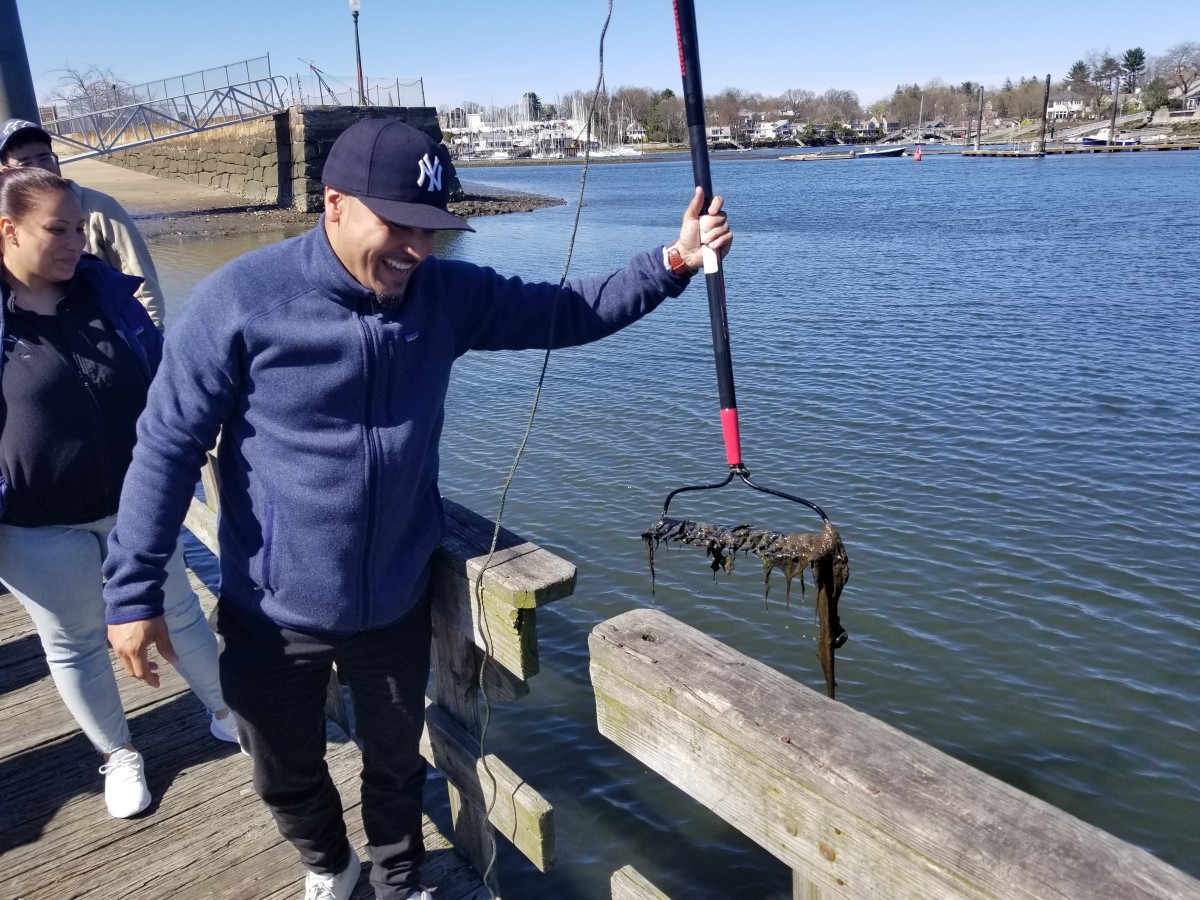 Water Monitoring: Ecological Health - Save the Sound
