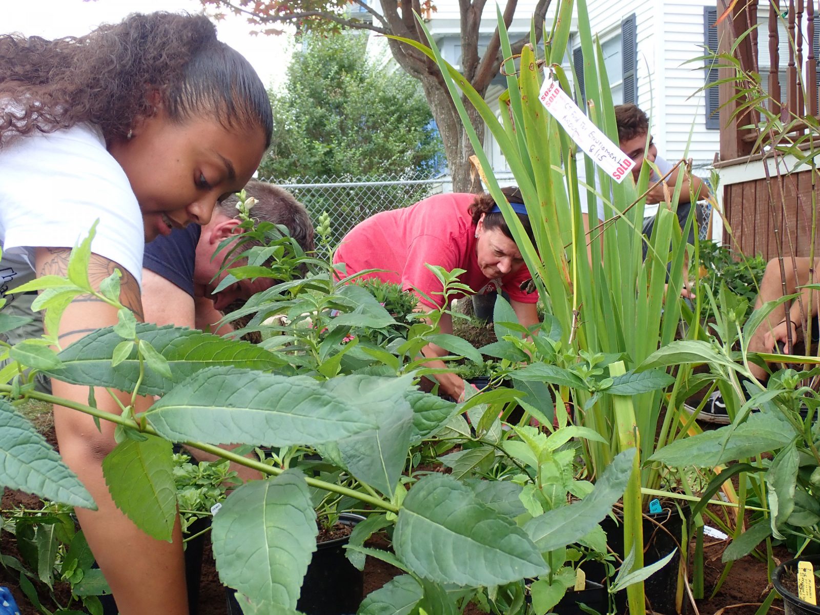 Mission & Vision - Save the Sound