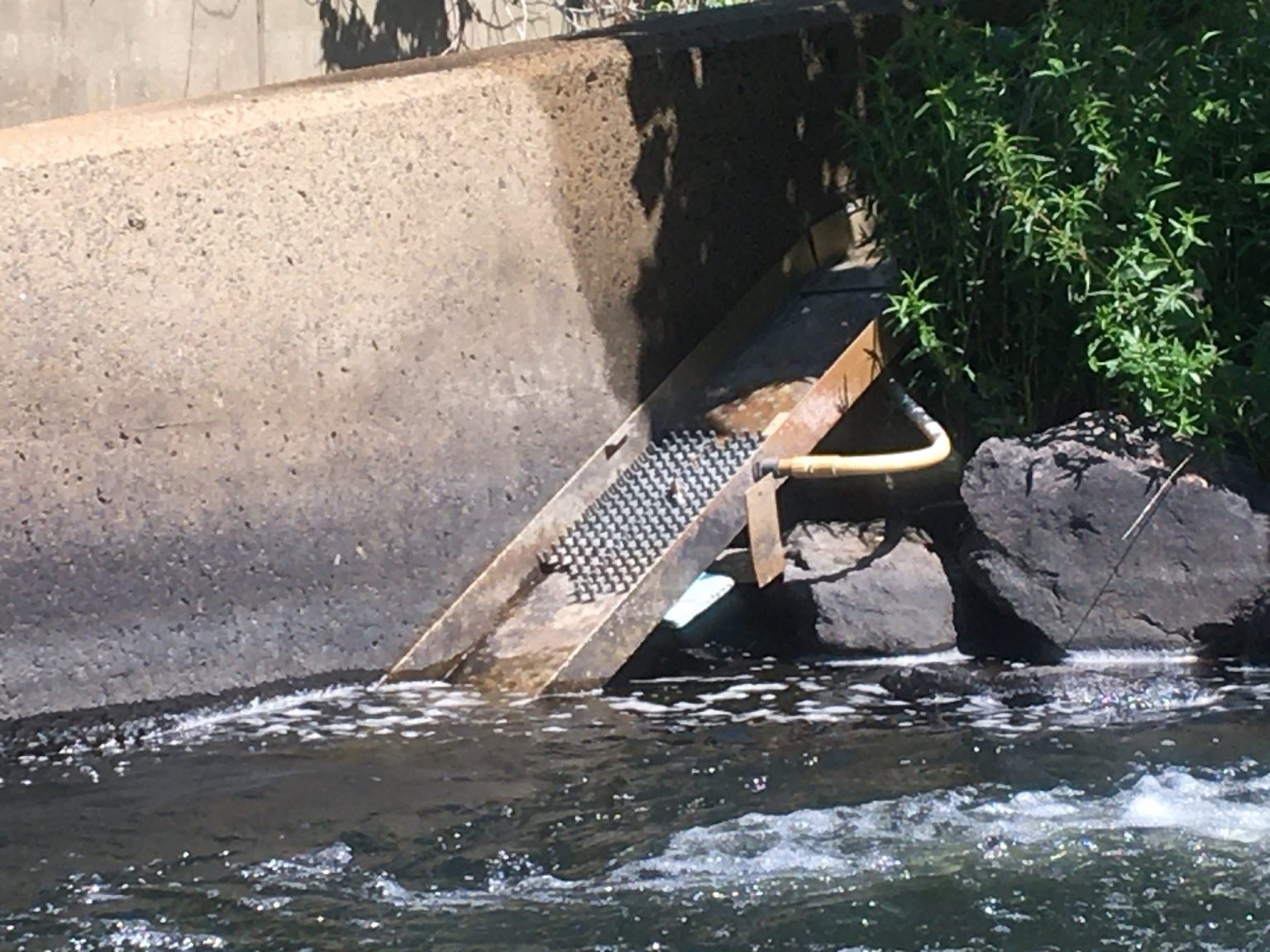 The fight to restore fish passage at Hydroland's derelict Kinneytown Dam