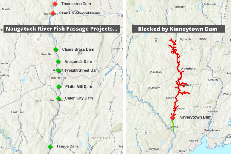 Restoring Fish Passage at Kinneytown Dam