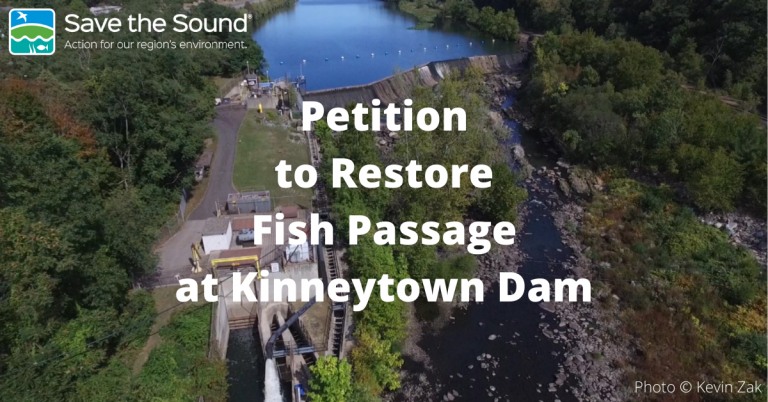 Restoring Fish Passage at Kinneytown Dam