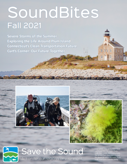 Fall 2022 Newsletter Cover - Save the Sound