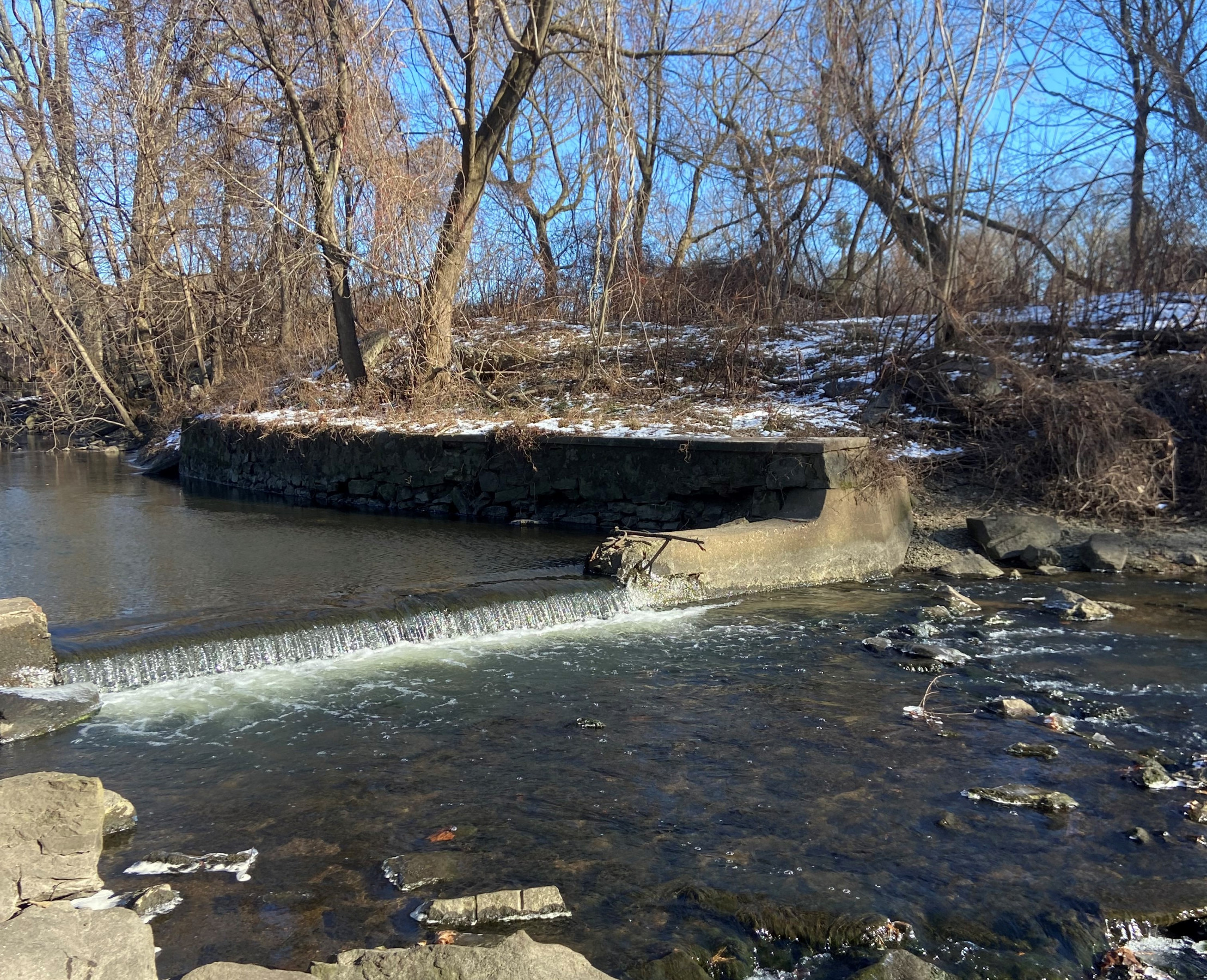 Blind-Brook-Winter - Save the Sound