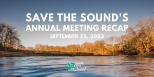 Our Blog: Green Cities, Blue Waters - Save the Sound