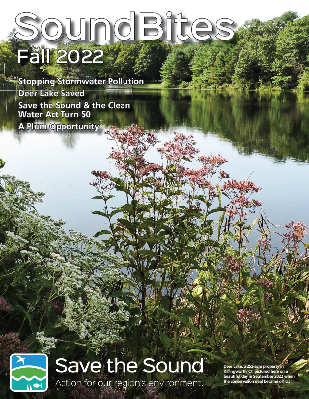 Newsletter - Save the Sound