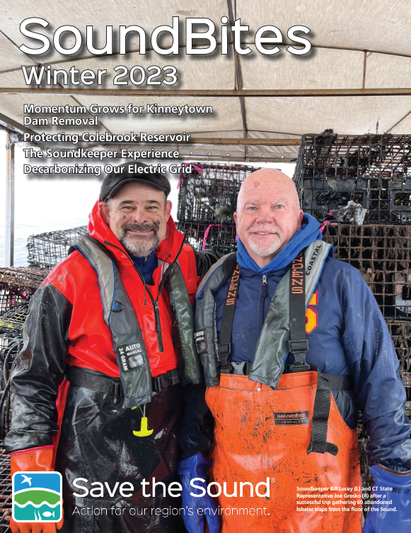 Newsletter - Save the Sound