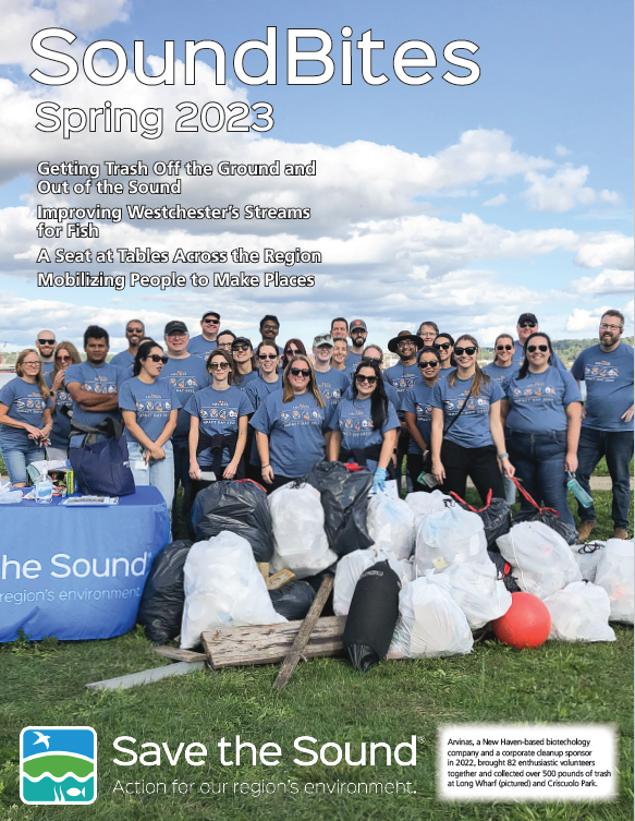 Newsletter - Save the Sound