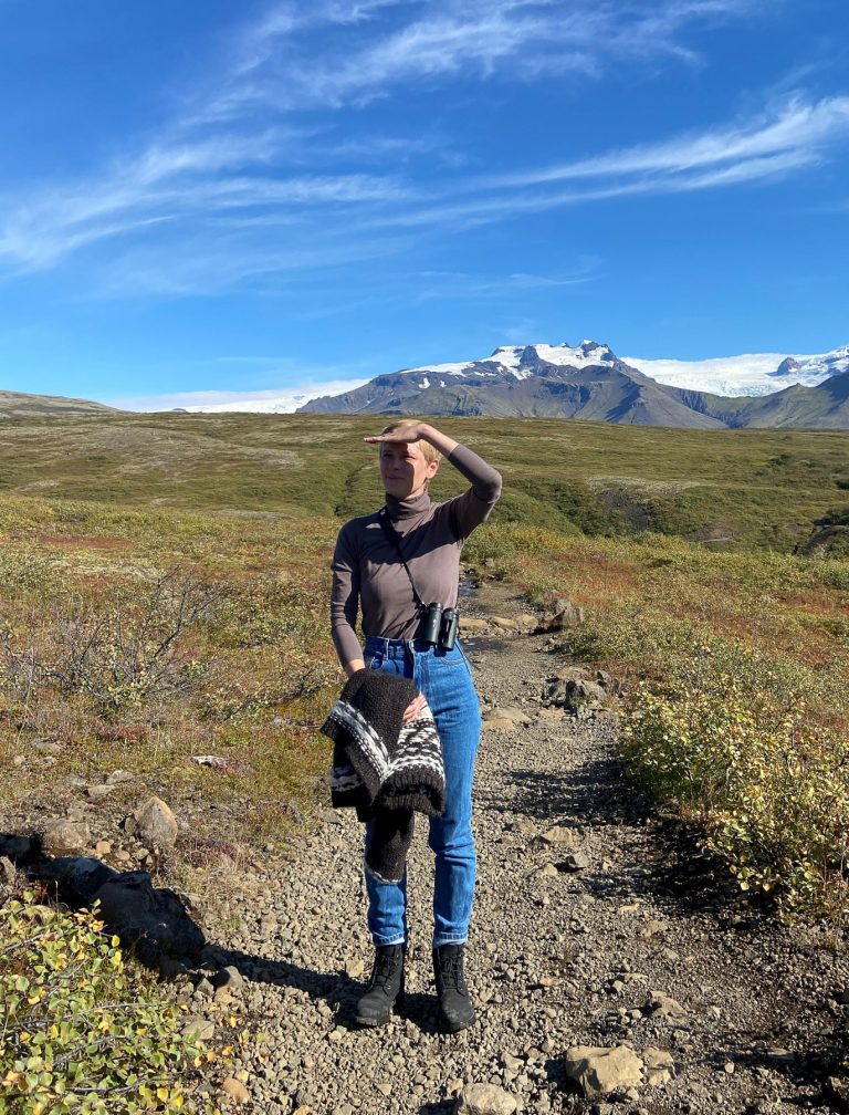 Allison Remy Hall - Save the Sound