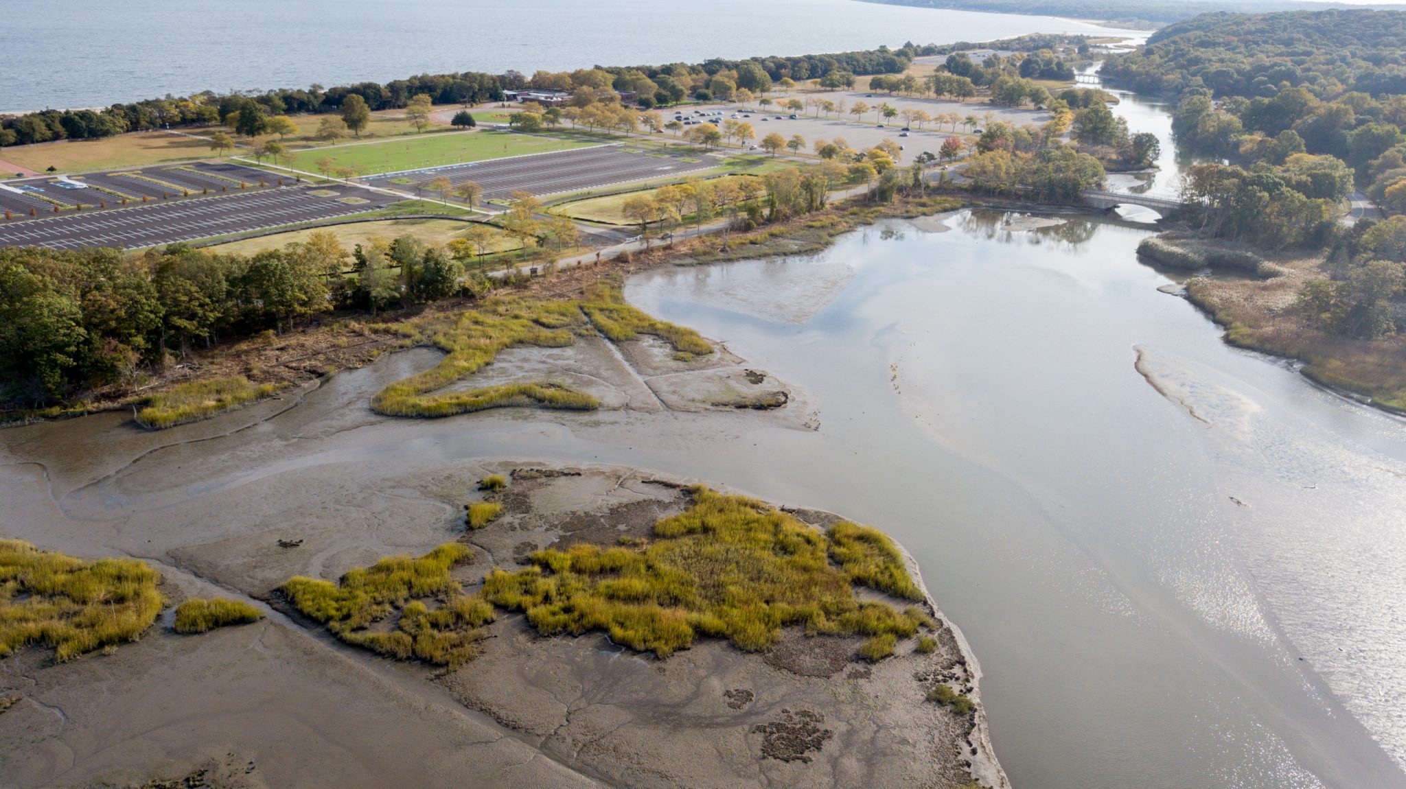 Celebrating and Restoring Our Wetlands - Save the Sound