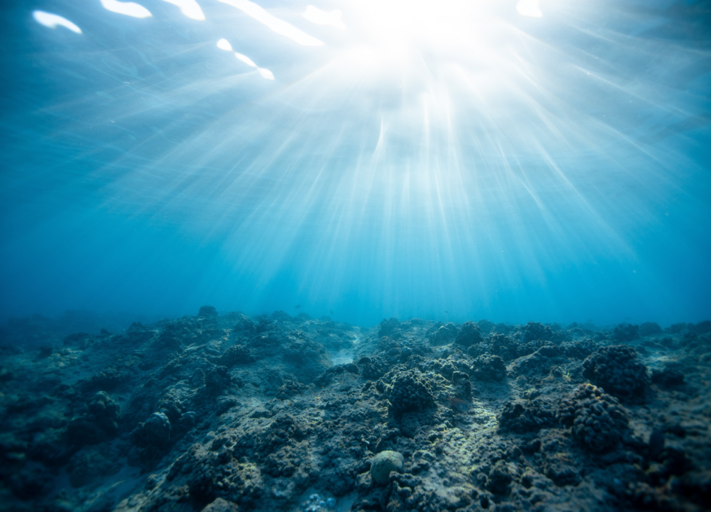 Ocean Acidification Blog Photo - Save the Sound