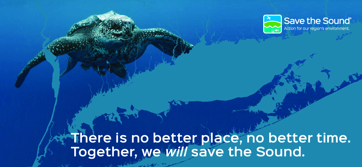 Turtle and sound - Save the Sound