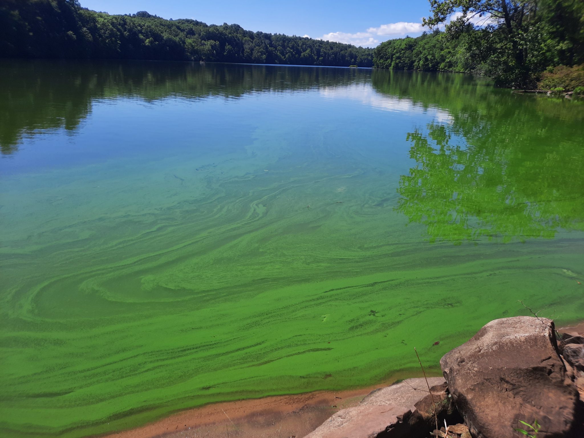 PRESS RELEASE: Farmington River Named One of America’s Most Endangered ...