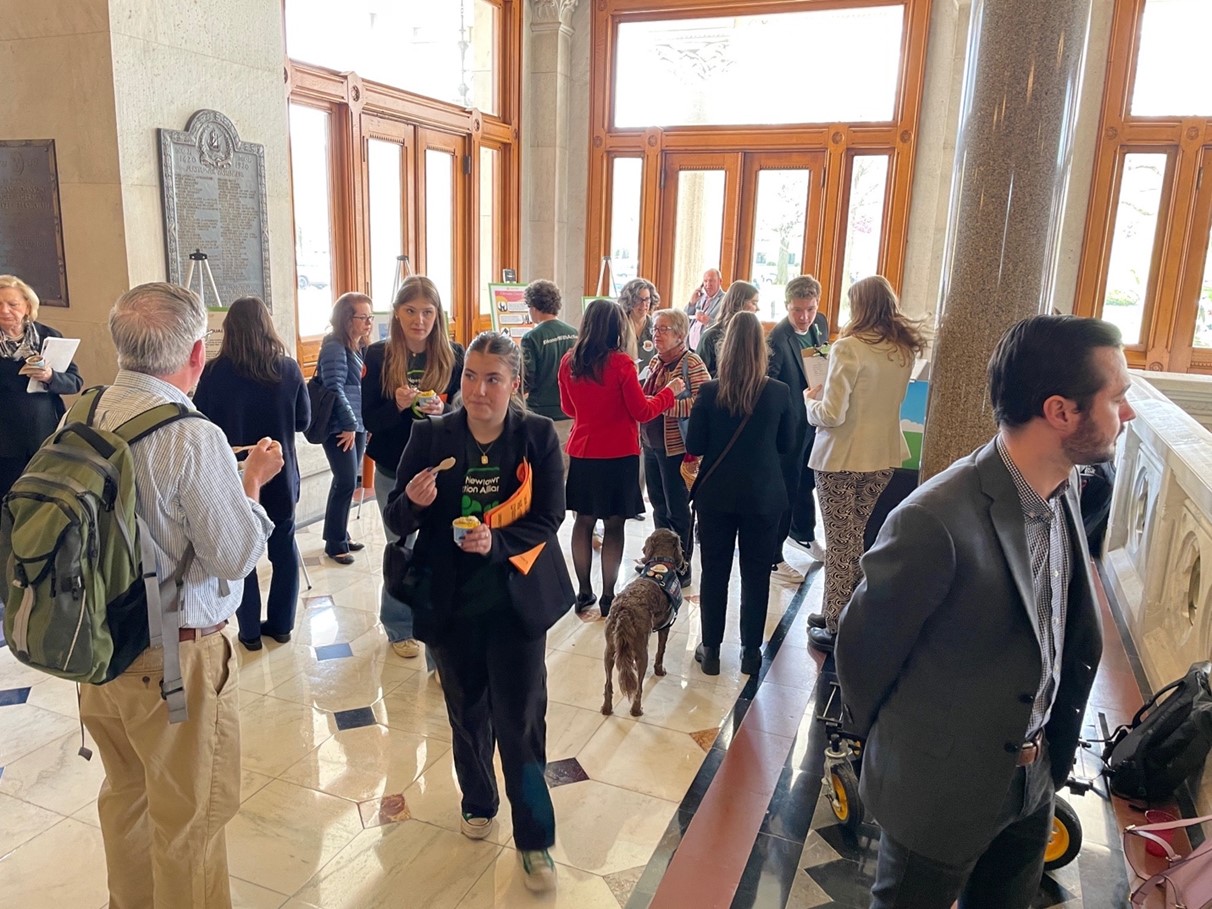 PRESS RELEASE: Young Climate Champions: Announcing the Winners of the ...