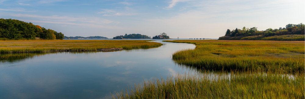 Sound Future Campaign Reception on June 14, 2024 | Register Today