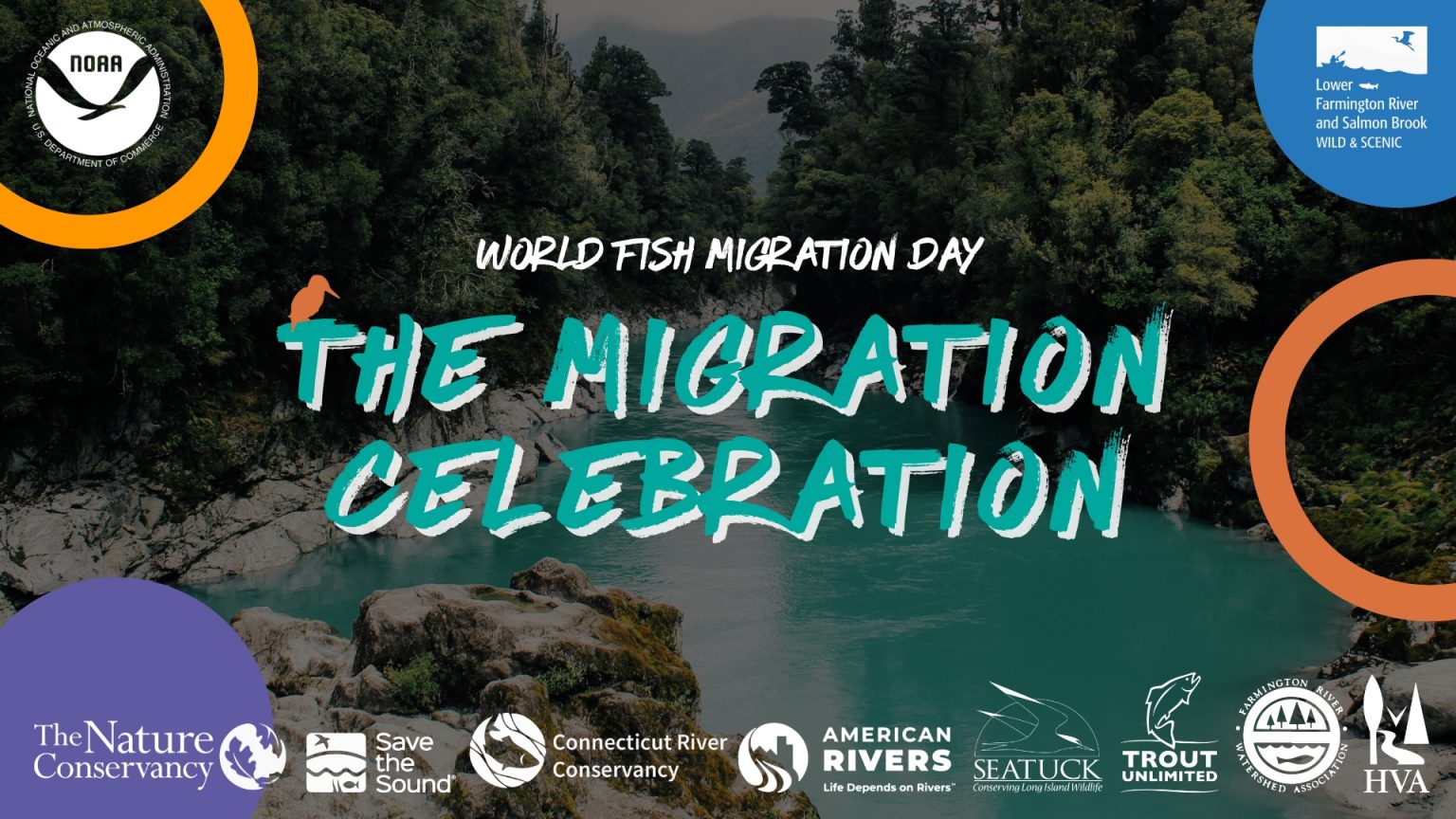 PRESS RELEASE: Celebrate World Fish Migration Day Along the Farmington ...