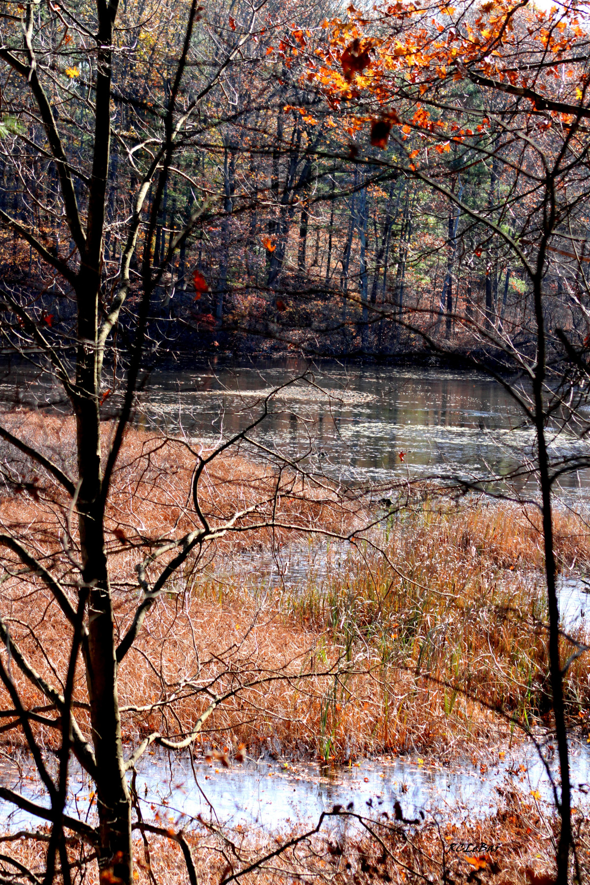 winter river - Save the Sound