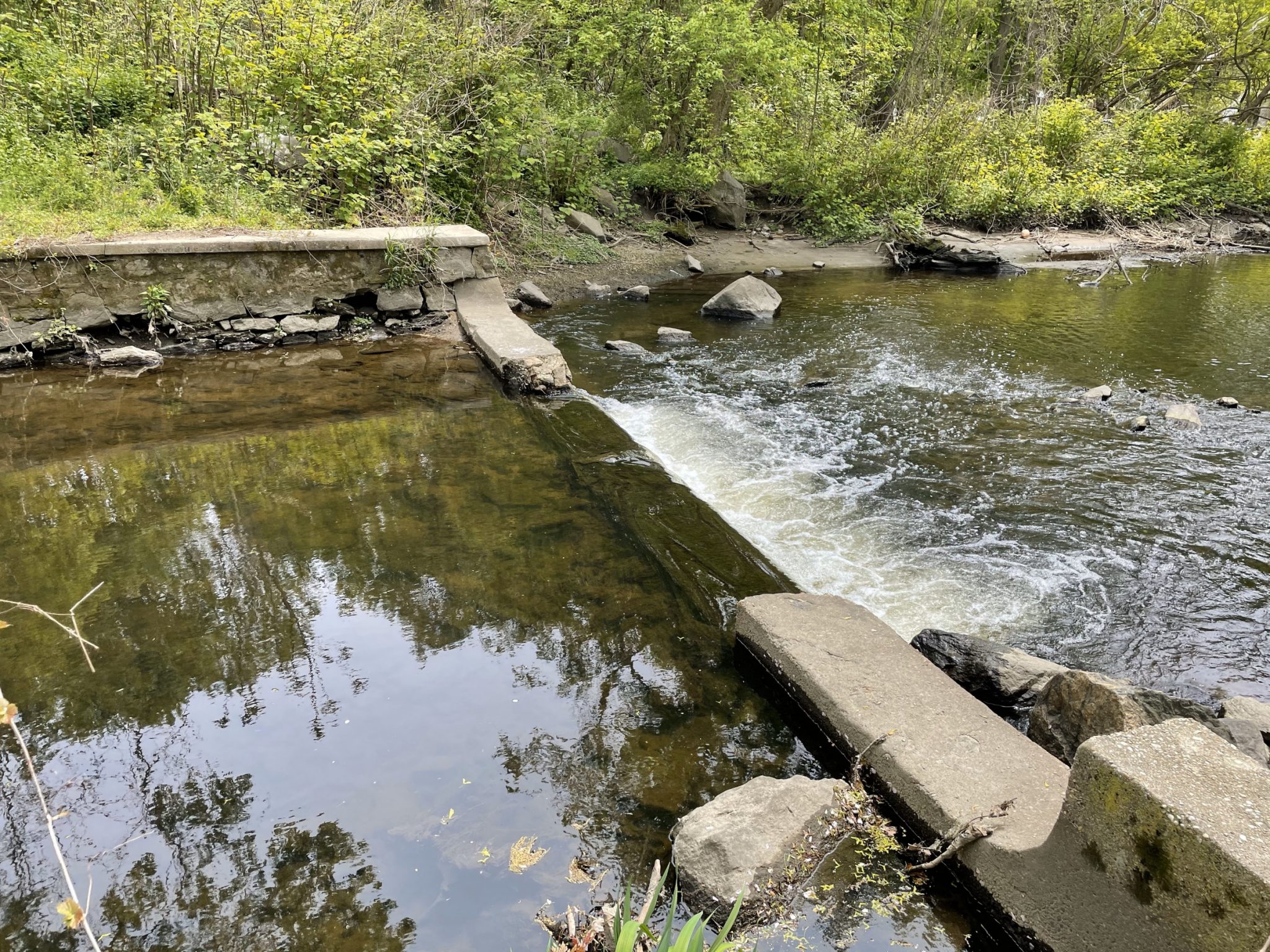 Blind Brook Dam Community Meeting
