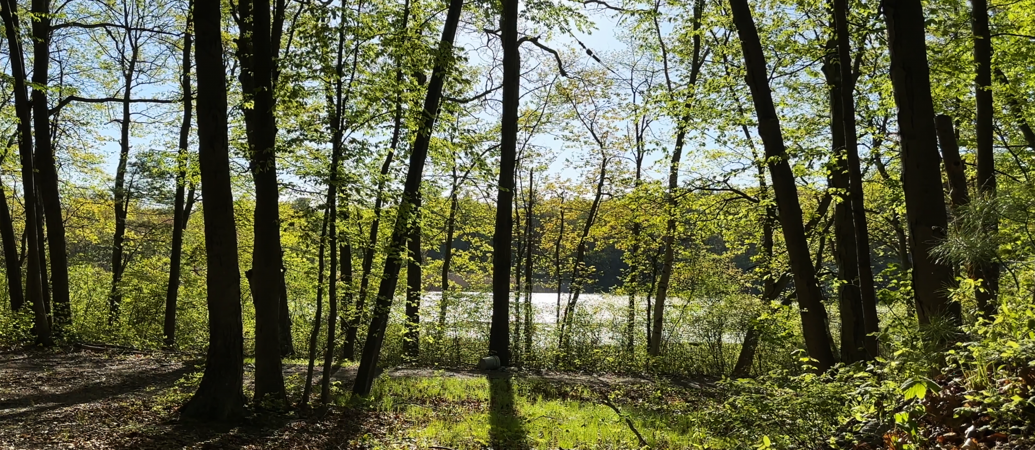 Webinar: Six Lakes DEEP Community Update | May 29