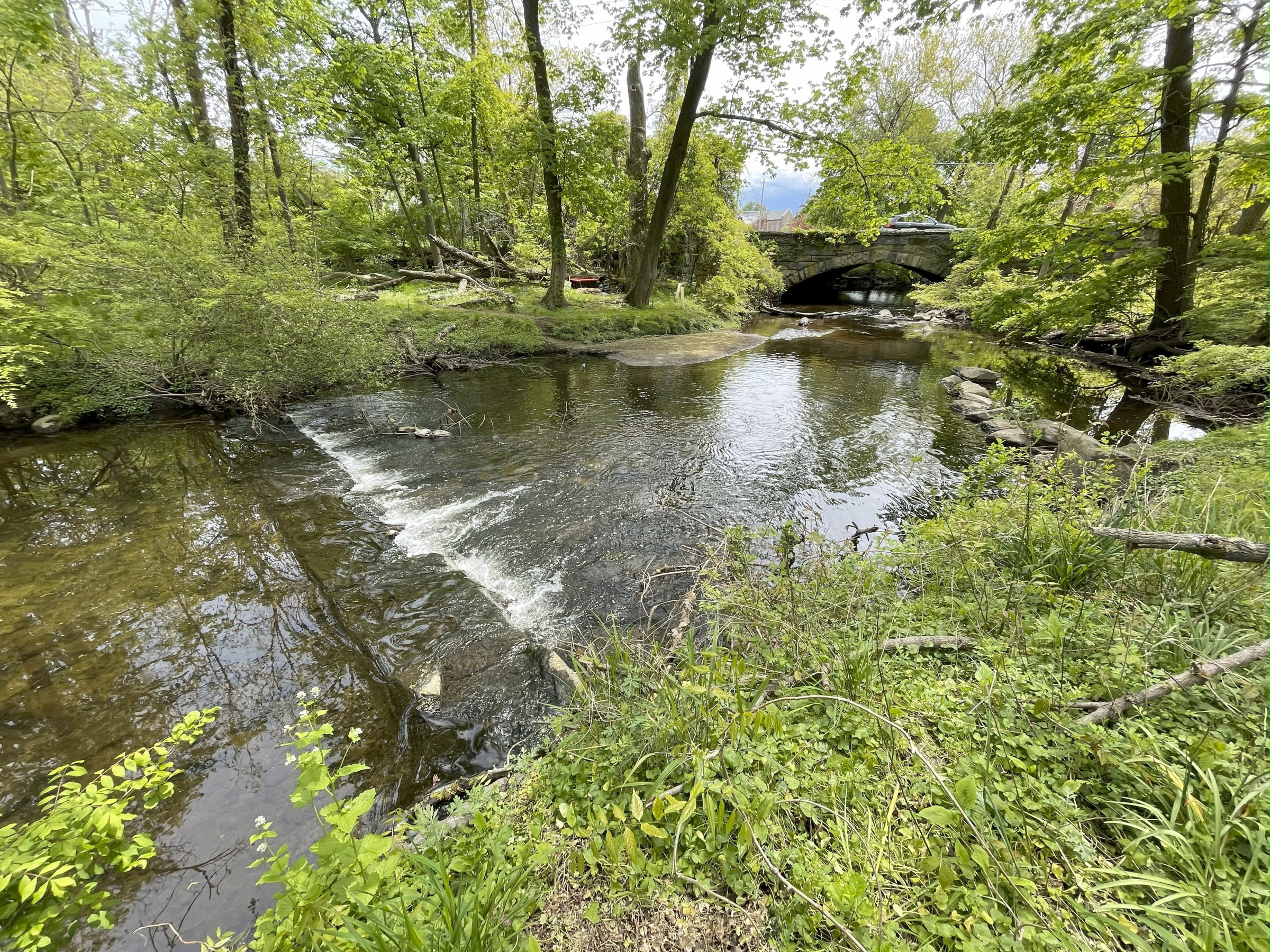 WestchesterInventory-Blind Brook - second barrier - Rye Nature Center ...